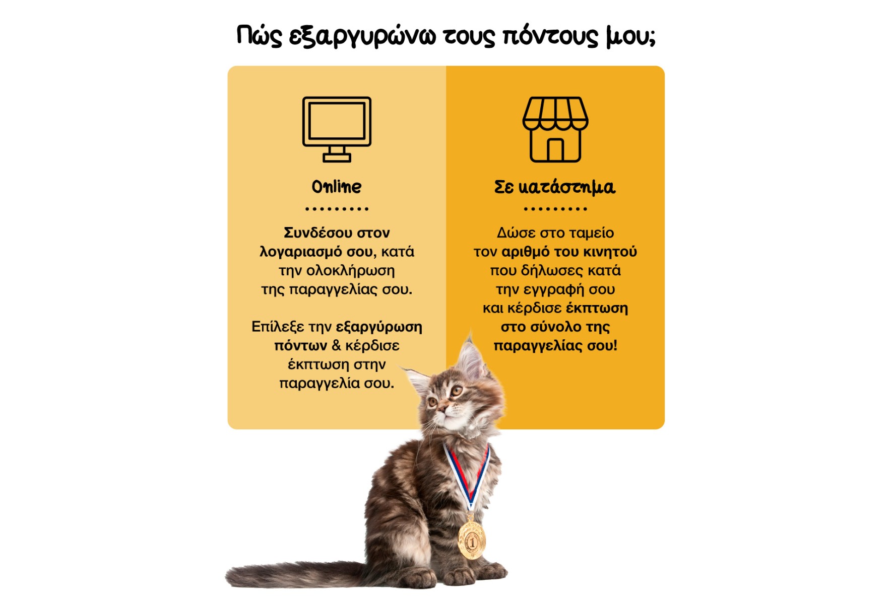 VIP CLUB | Petcity.gr