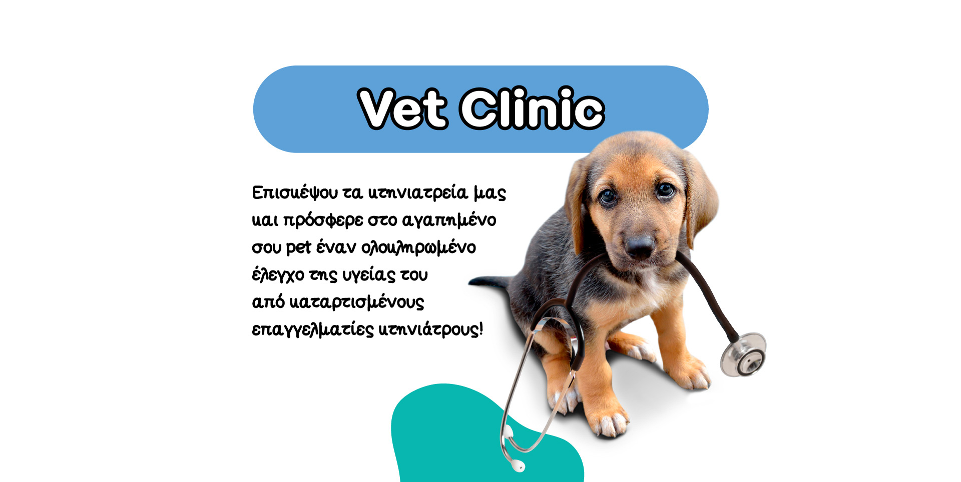 Vet Clinic Pet City | Κτηνιατρικές Υπηρεσίες | Petcity.gr