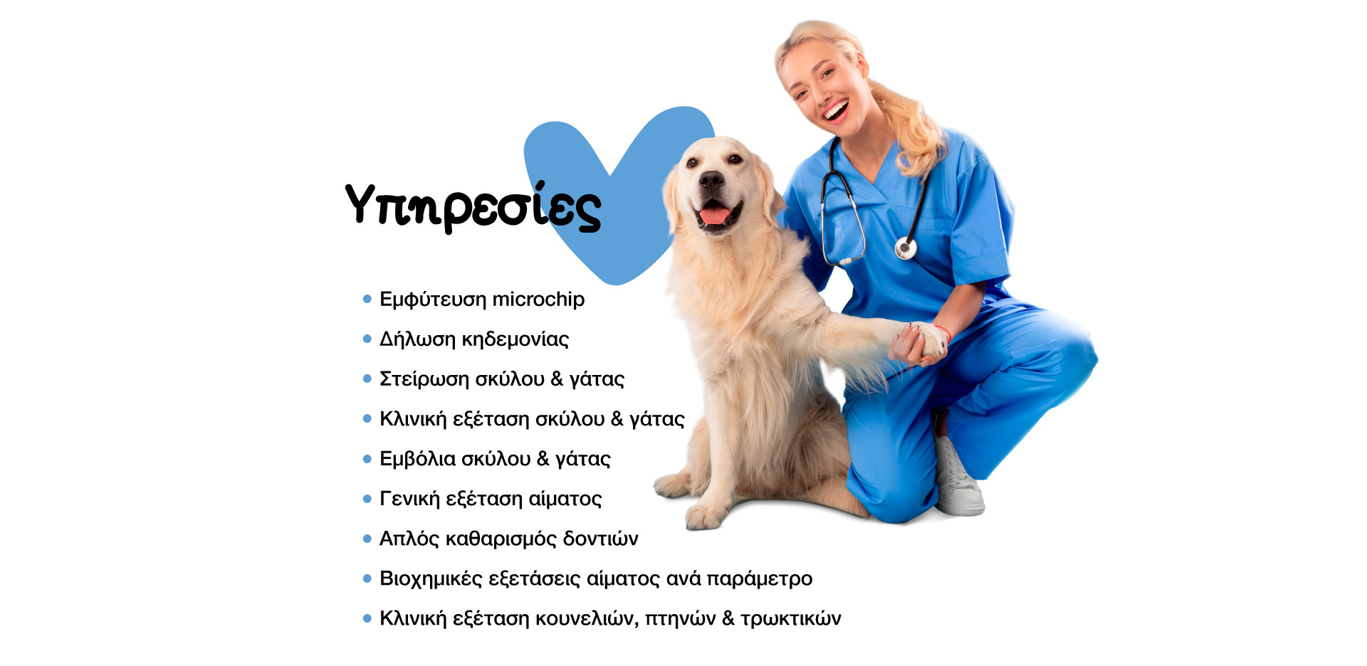 Vet Clinic Pet City | Κτηνιατρικές Υπηρεσίες | Petcity.gr