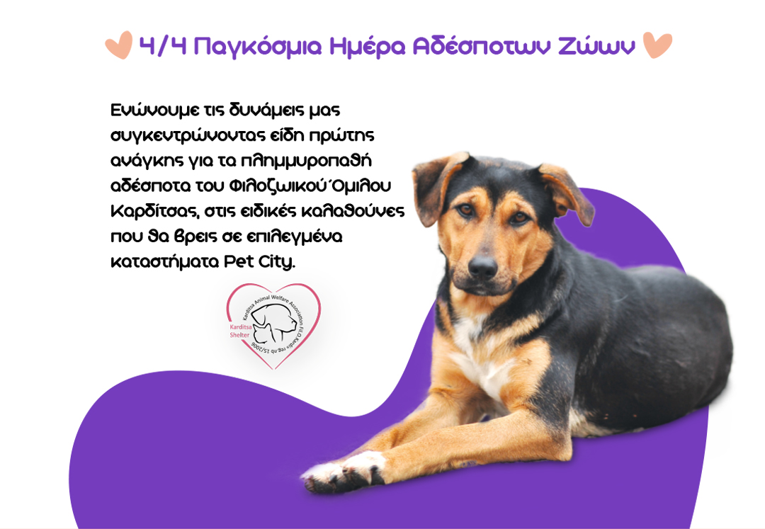 Παγκόσμια Μέρα Αδέσποτων Ζώων | Petcity.gr