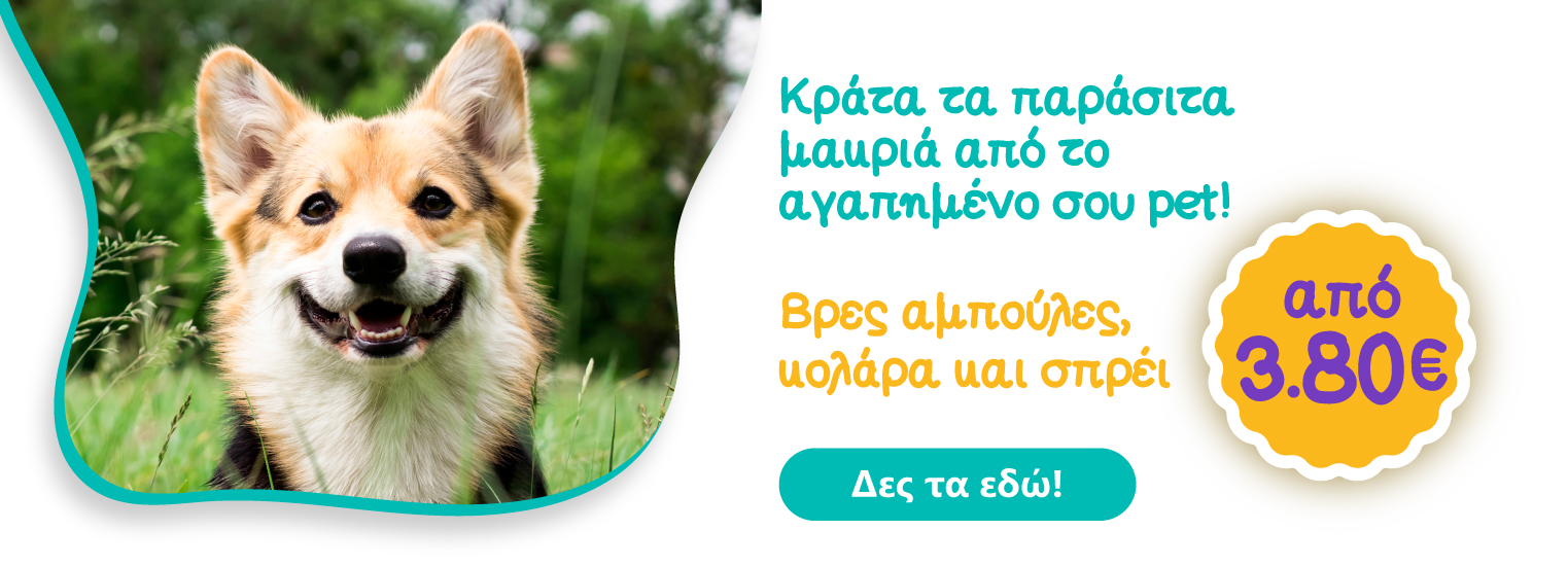 Pet City | Βρες τροφές και αξεσουάρ για το Pet σου | Petcity.gr