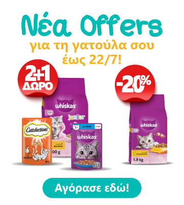 Pet City | Βρες τροφές και αξεσουάρ για το Pet σου | Petcity.gr