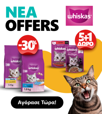 Pet City | Βρες τροφές και αξεσουάρ για το Pet σου | Petcity.gr